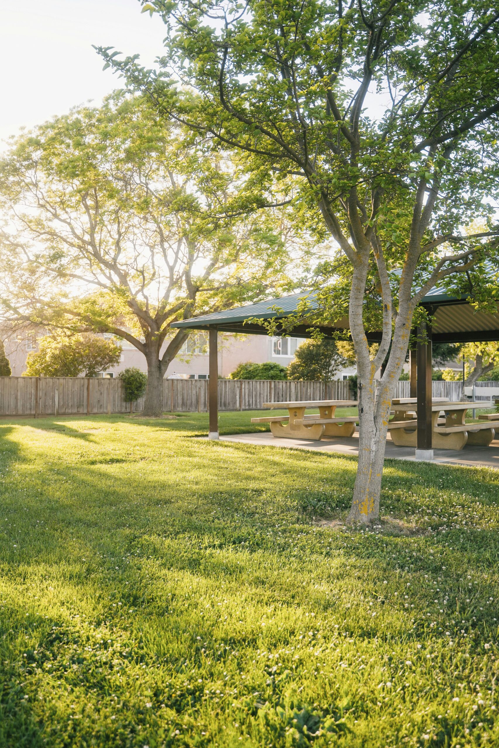 Why Regular Lawn Maintenance Is Essential for a Healthy, Green Lawn ...